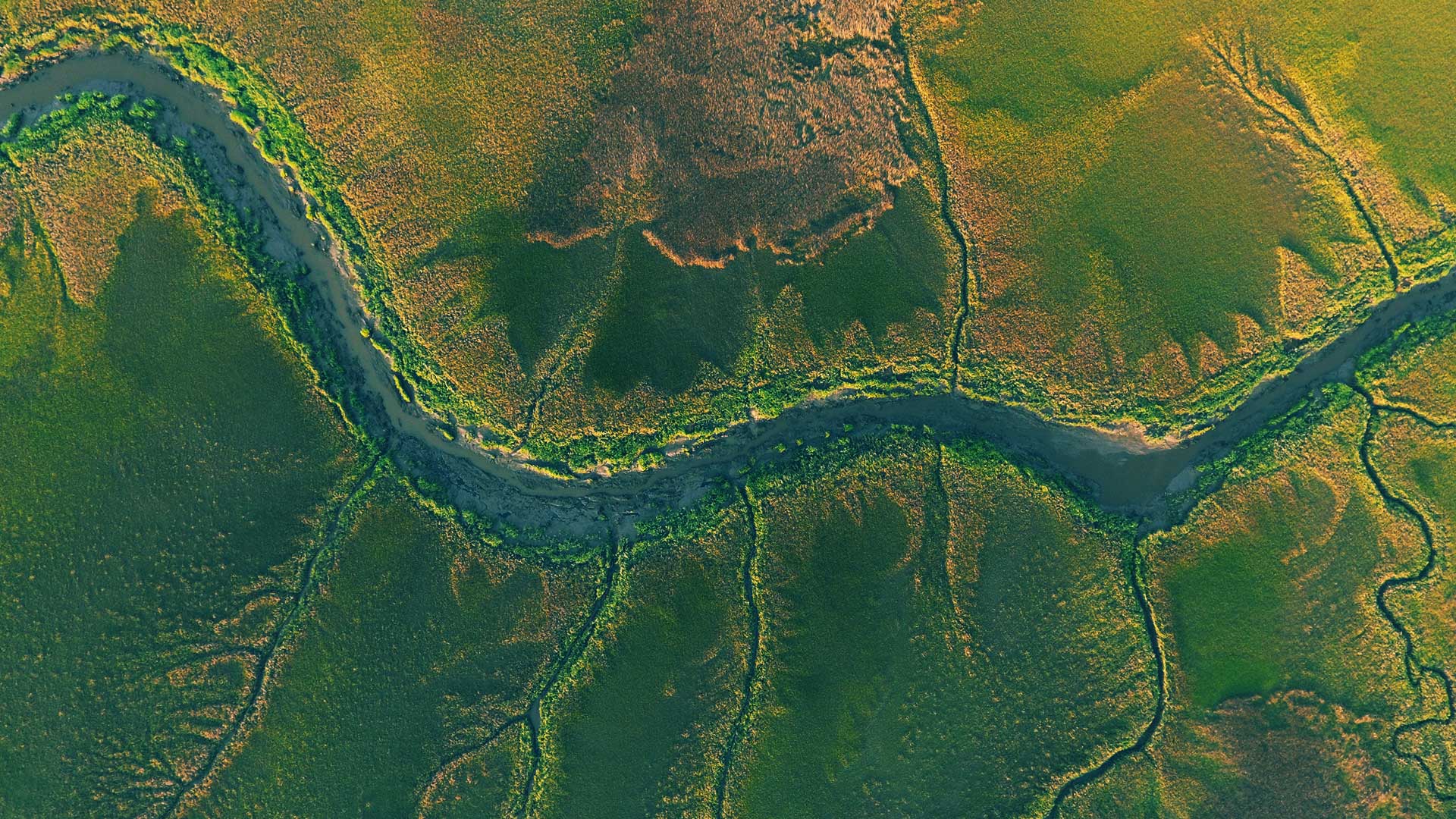 estuary - Untamed Science