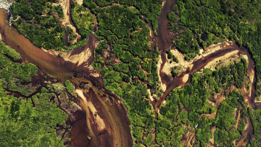 rivers biome - Untamed Science