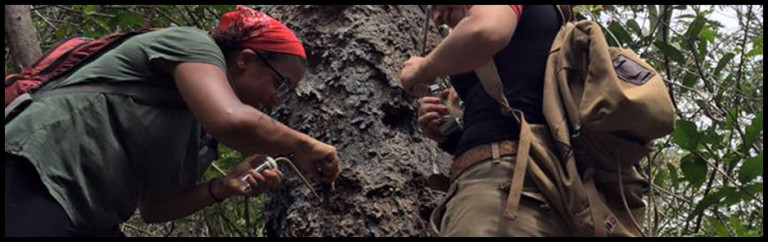 Entomologists Worth Following - Untamed Science