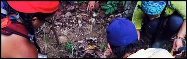 Jessica Ware - Untamed Science