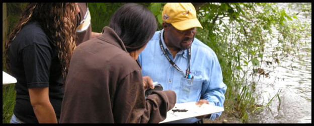 DC Randle - Untamed Science