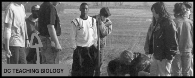 DC Randle - Untamed Science