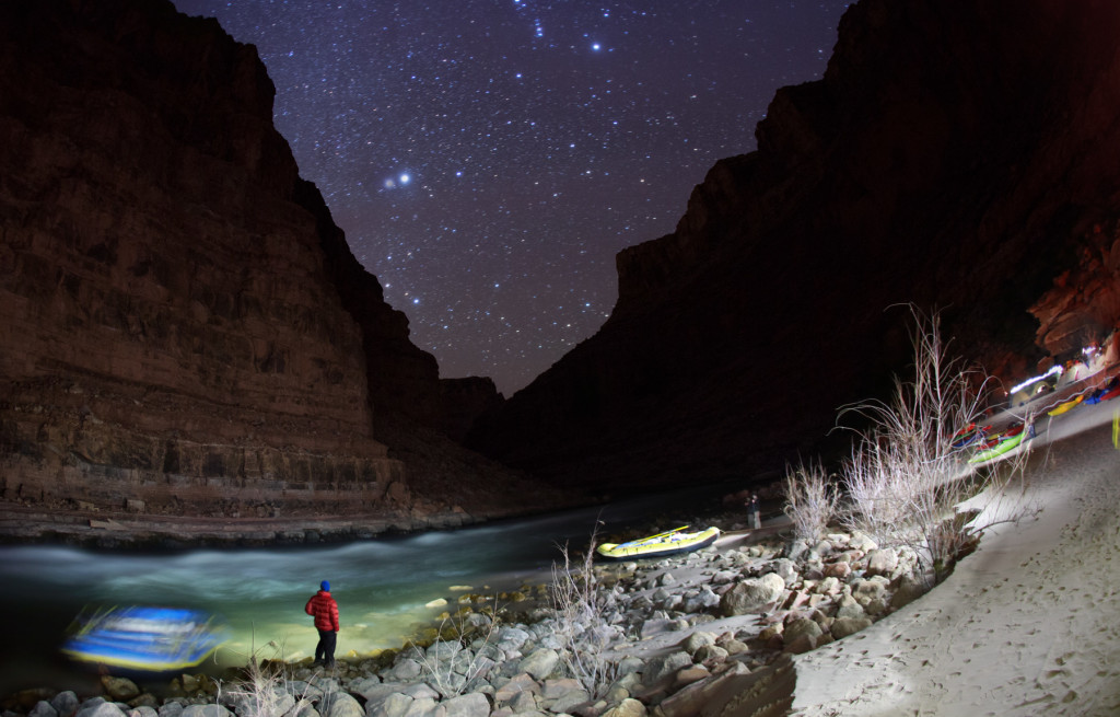 Subscription Download Page: Untamed Science