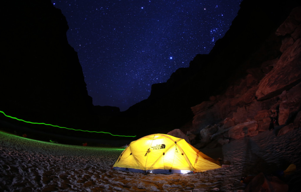 Subscription Download Page: Untamed Science