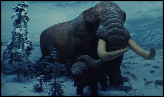 Woolly Mammoth - Untamed Science