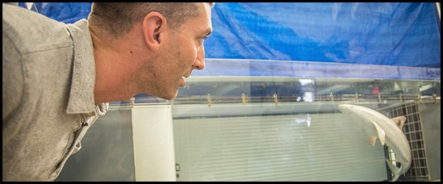Nick Whitney - Cutting Edge Shark Researcher