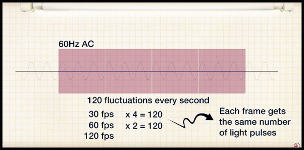 Managing Fluorescent Flicker - Untamed Science