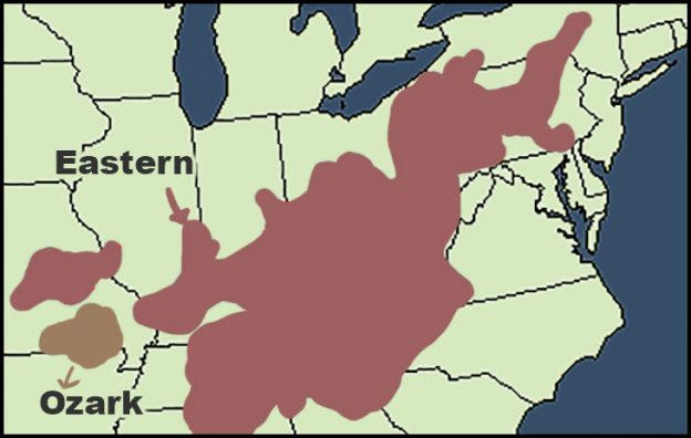 hellbender range - Untamed Science