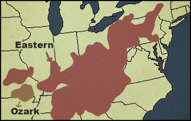 hellbender range map - Untamed Science