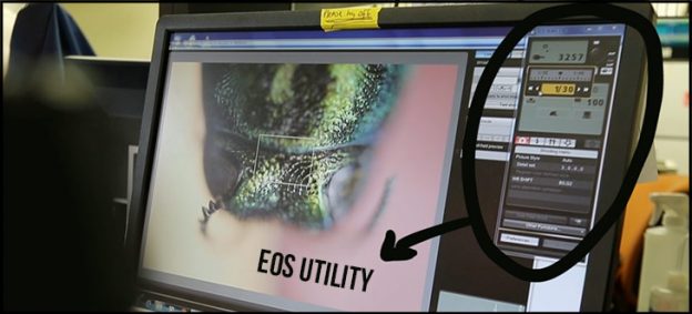 World's Most Extreme Macro Photography Setup: Explained