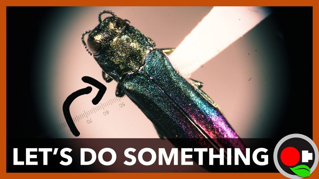 eab thumbnail 2 - Untamed Science