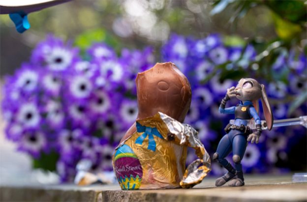 Toy Photography Basics - An Introduction