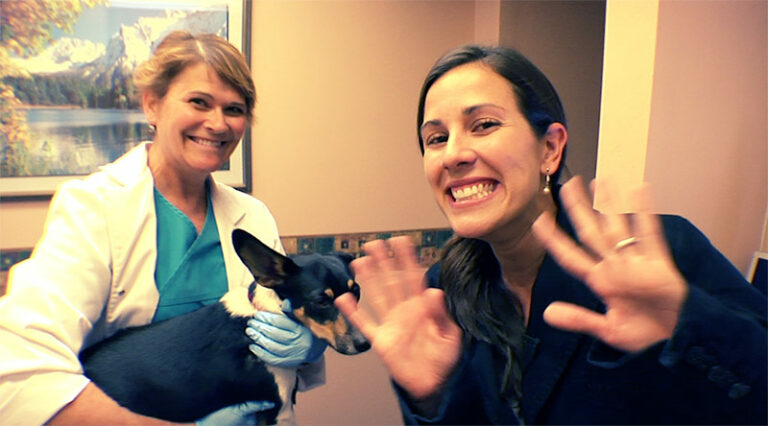 Pet sitting Haley Chamberlain Nelson Becky McCord - Untamed Science