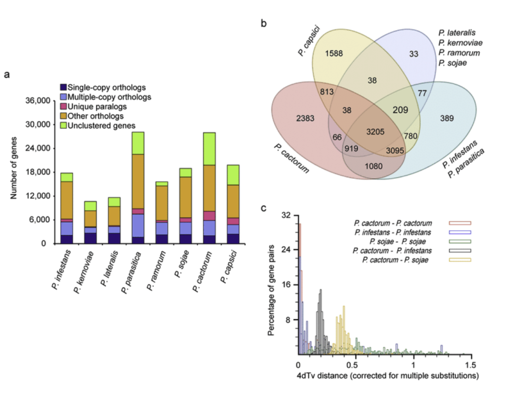 An Integral View of the Relationship Between Genotypes and Phenotypes ...