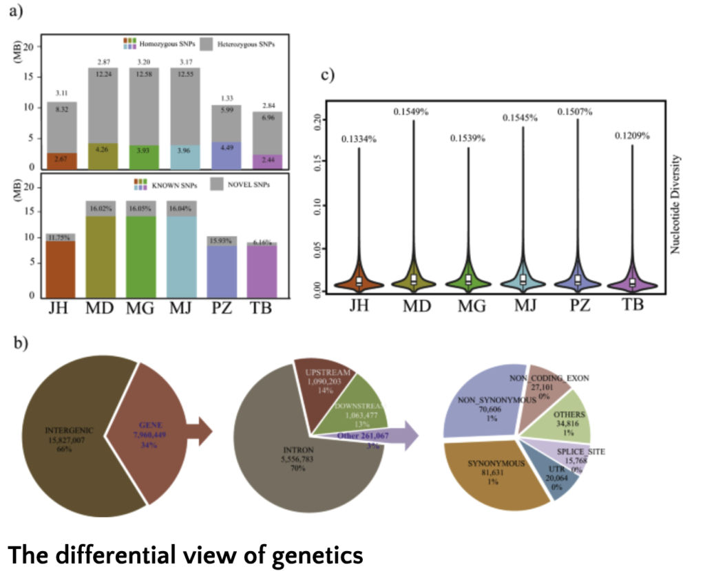 An Integral View of the Relationship Between Genotypes and Phenotypes ...