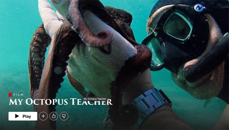 Best Netflix Documentaries for Students