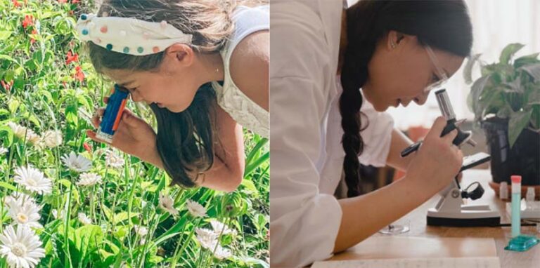 Microscope - 2 - Untamed Science