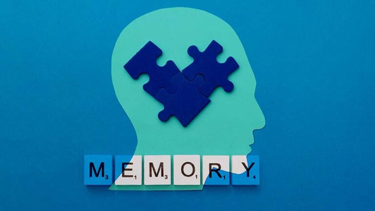 Developing Memory and Attention: Tips for Students - Untamed Science
