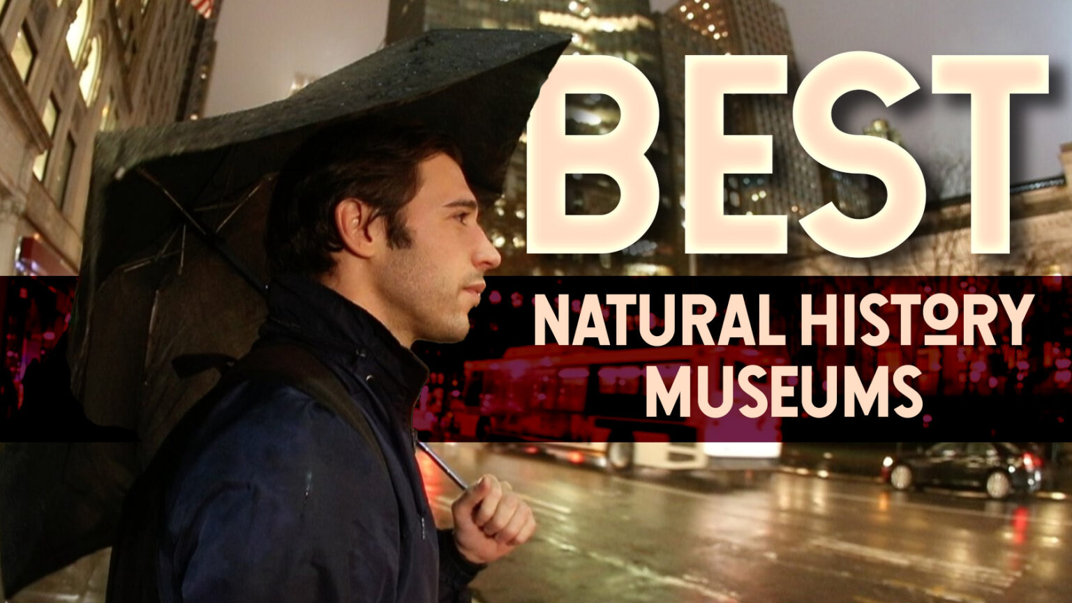 best - Untamed Science