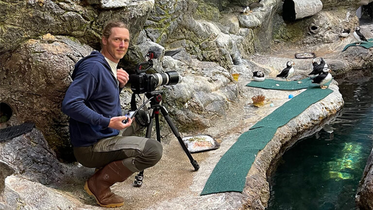 How to Become More Confident As a New Filmmaker - Untamed Science