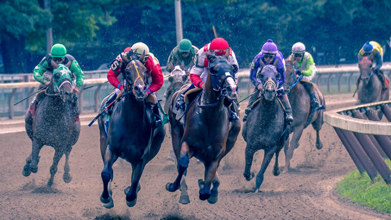 horse-racing 4 - Untamed Science