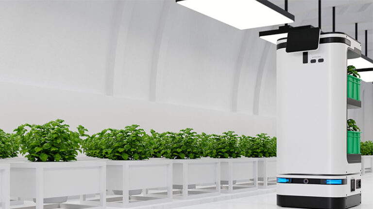 How Weed AI Can Increase Your Yields