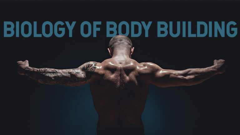 body_building_biology - Untamed Science