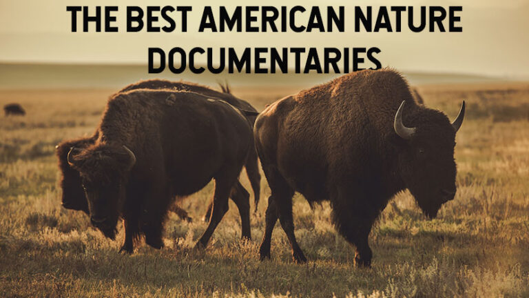 Ranking of the Best Nature Documentaries in the USA