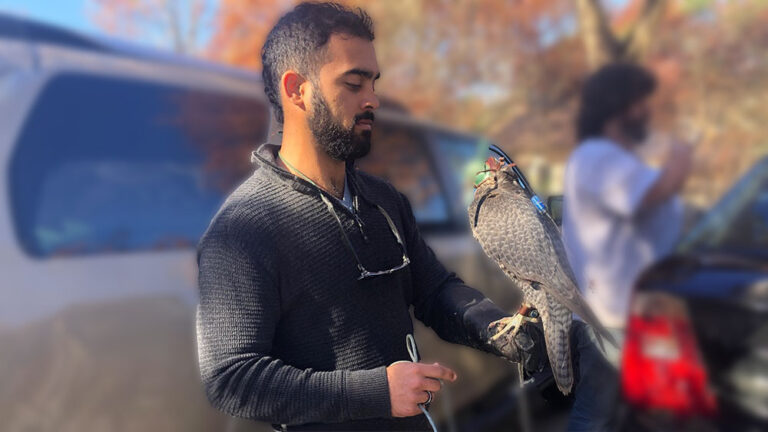 Mansal with bird - No Blog Title Set
