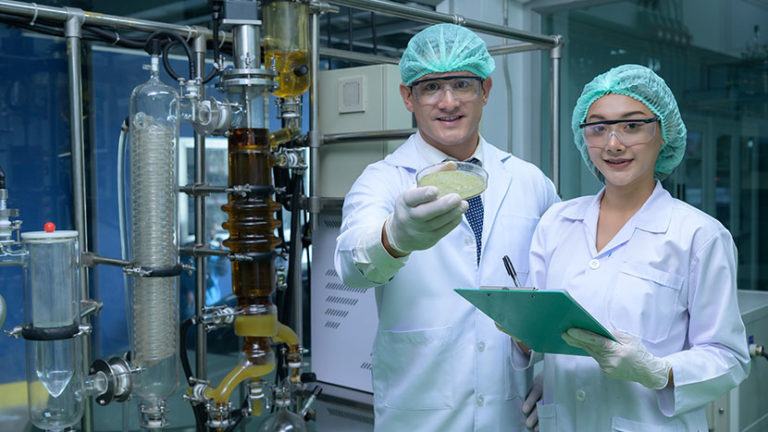 Where to buy CBD Isolate Powder?