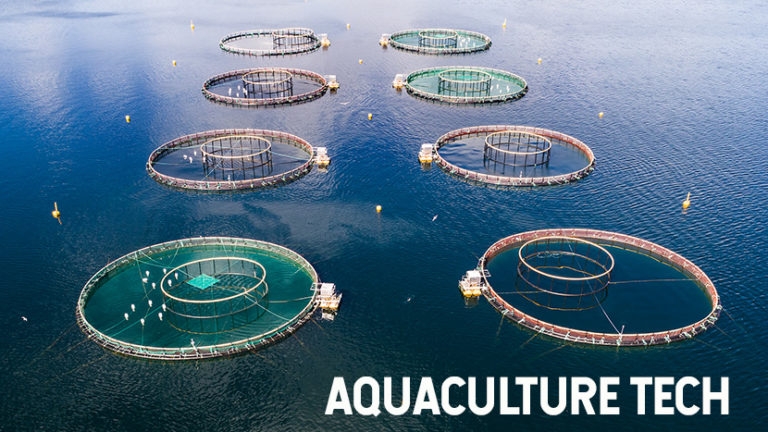 5 Technology Applications in Aquaculture