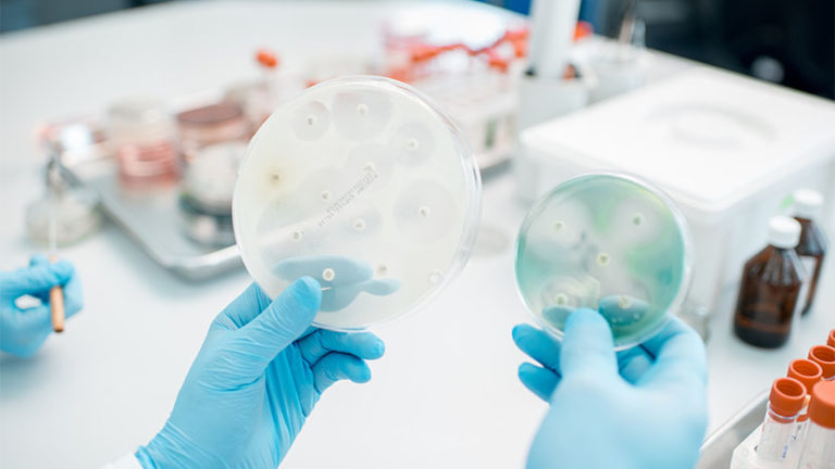 pres - Untamed Science