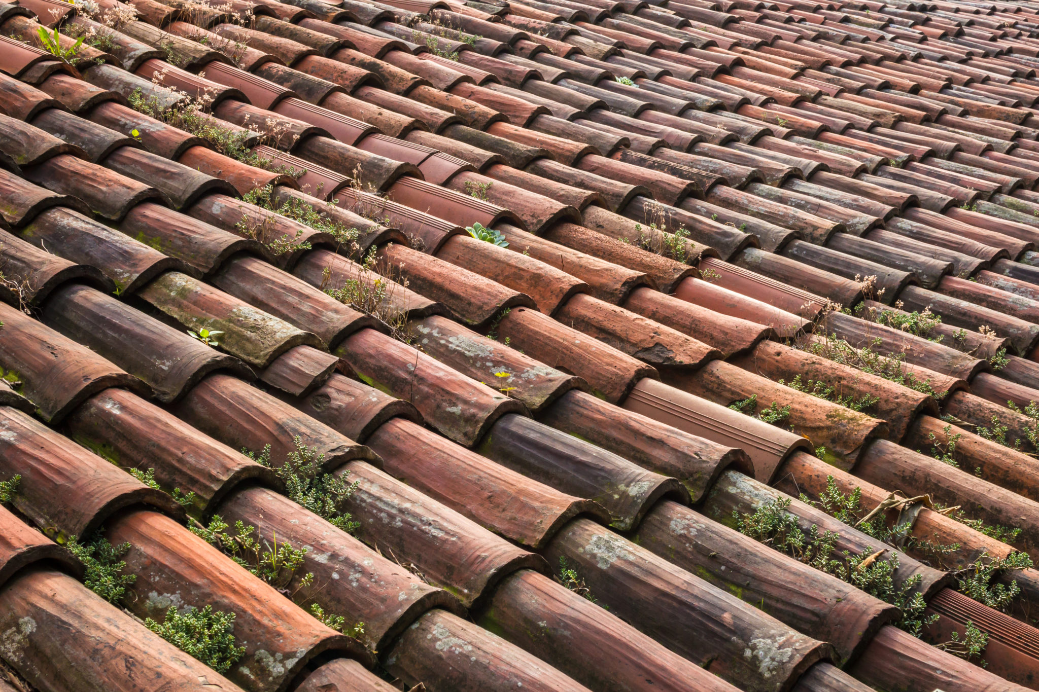 How Weathering and Erosion Affect Your Roof, and How to Maintain It ...