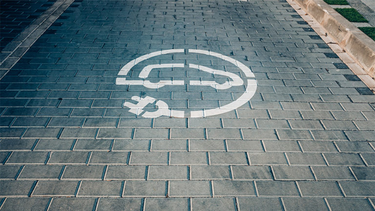 Ev 2 - Untamed Science