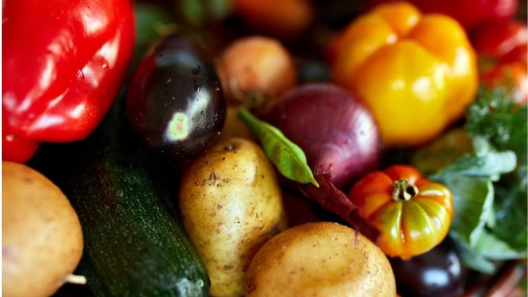 produce (2) - Untamed Science