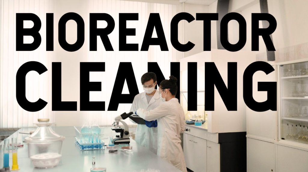 Bioreactor Cleaning and Sterilization: A Guide to SIP, CIP, and ...